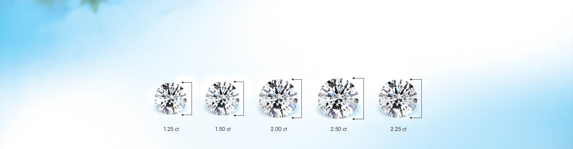 Comprehensive Diamond Carat Size Chart and Cut Chart Guide